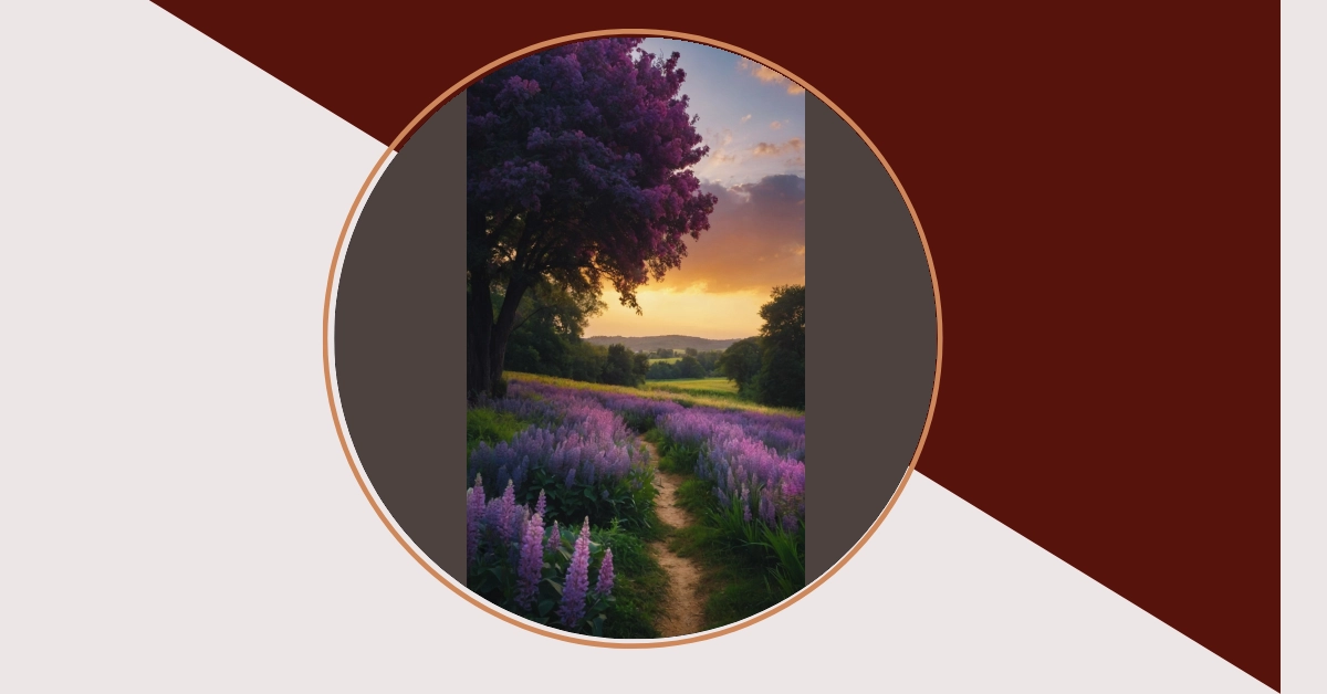 Nature’s Palette: 15 Relaxing Photography Ideas for the Adventurous ...